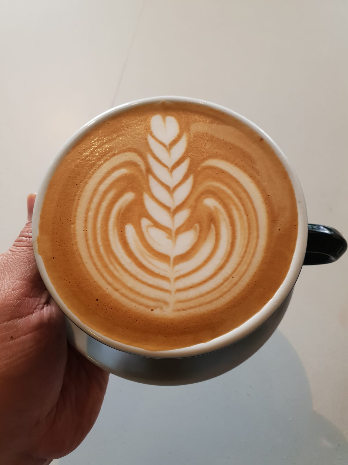 Coffee Amigo – Coffee is my Amigo